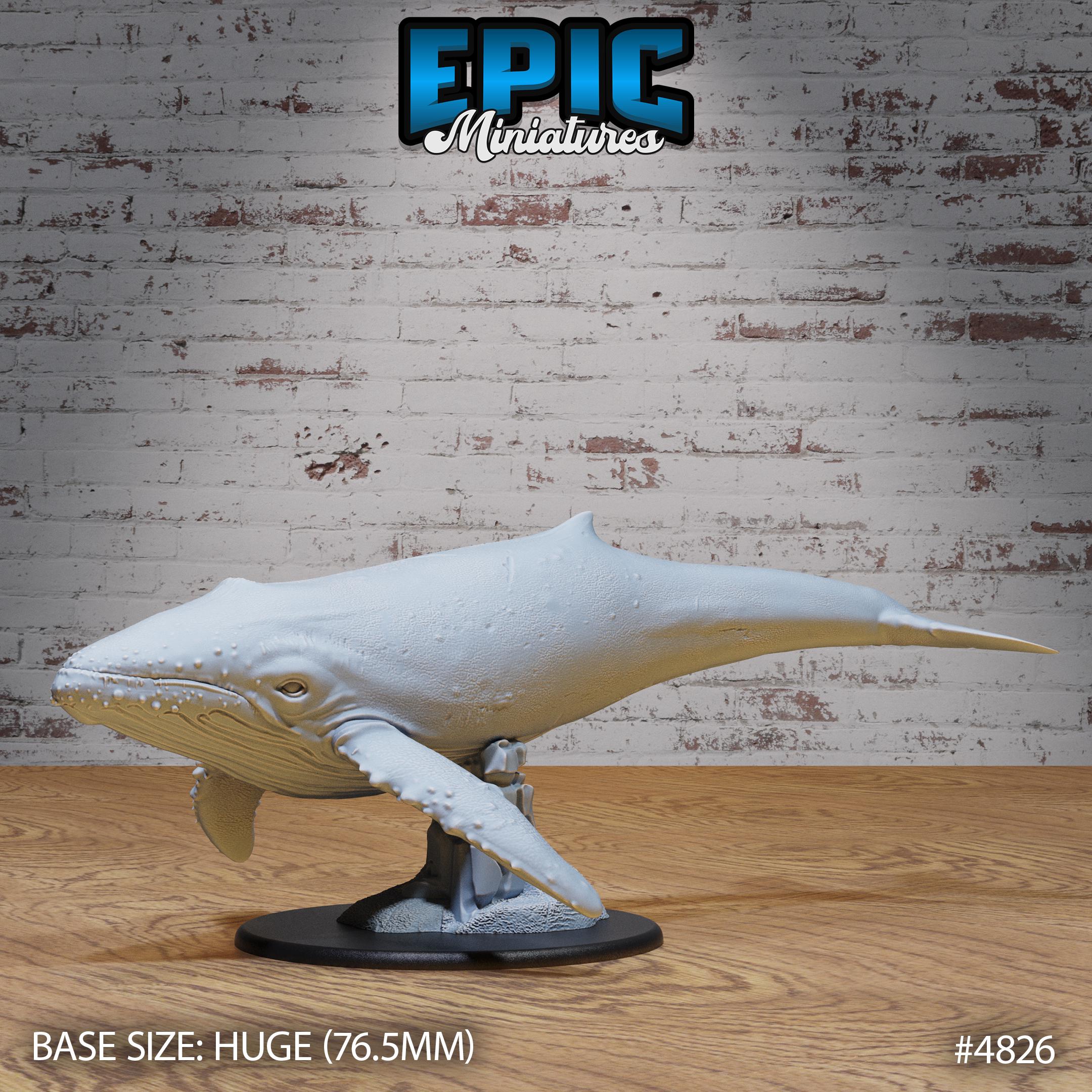 Blue Whale (2 Variants Available) - Epic Miniatures – Couatl's Hoard