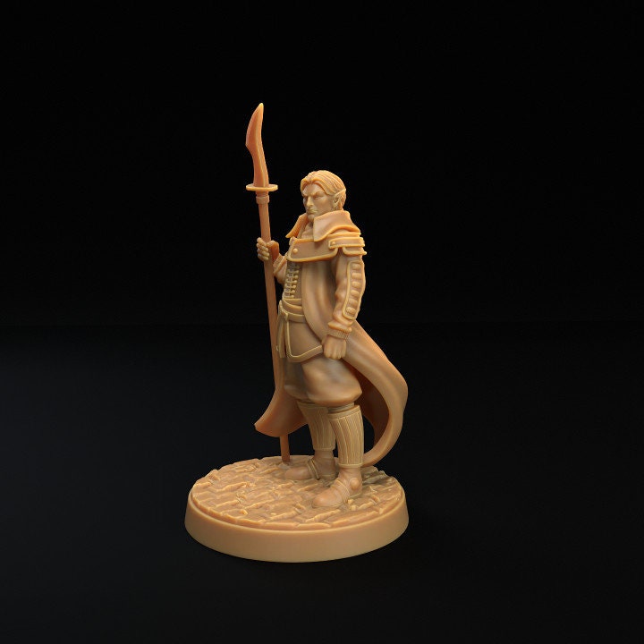 Astral Elf Guard (2 Variants Available) - Dragon Trapper's Lodge ...