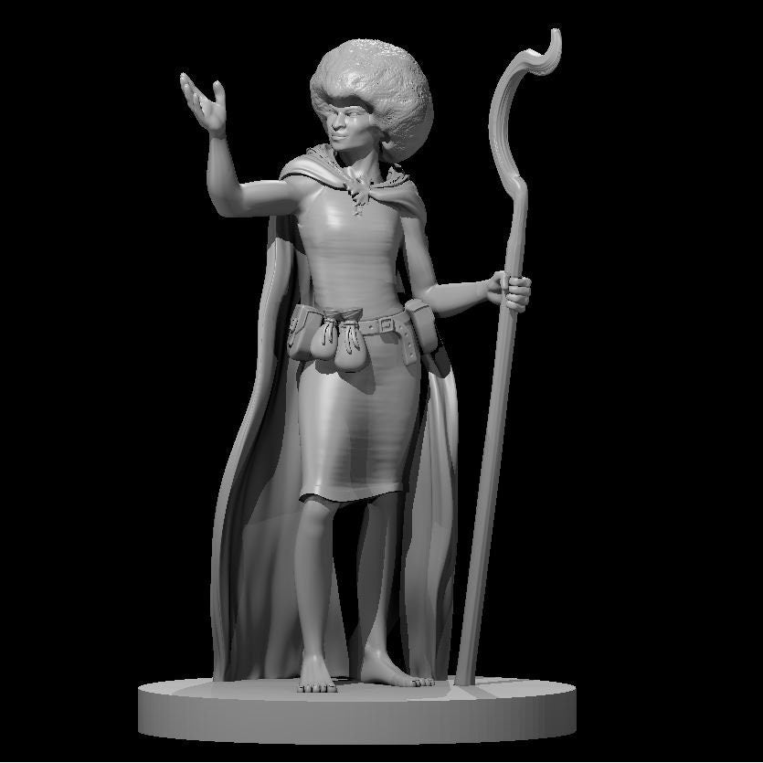 Human Druids, Set 1 (7 Variants Available) - MZ4250 – Couatl's Hoard