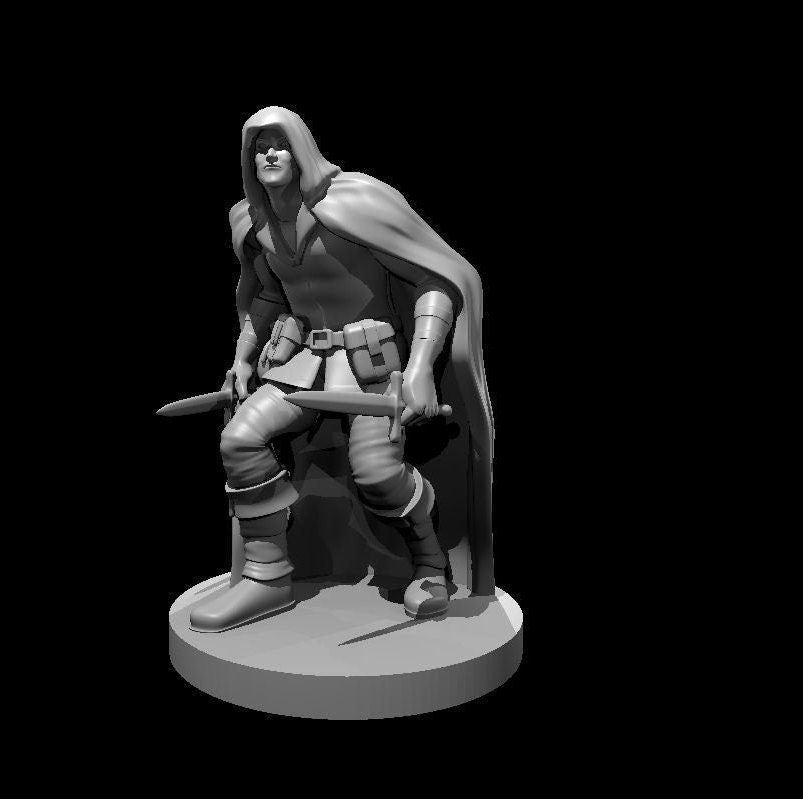 Human Rogue (9 Variants Available) - MZ4250 – Couatl's Hoard